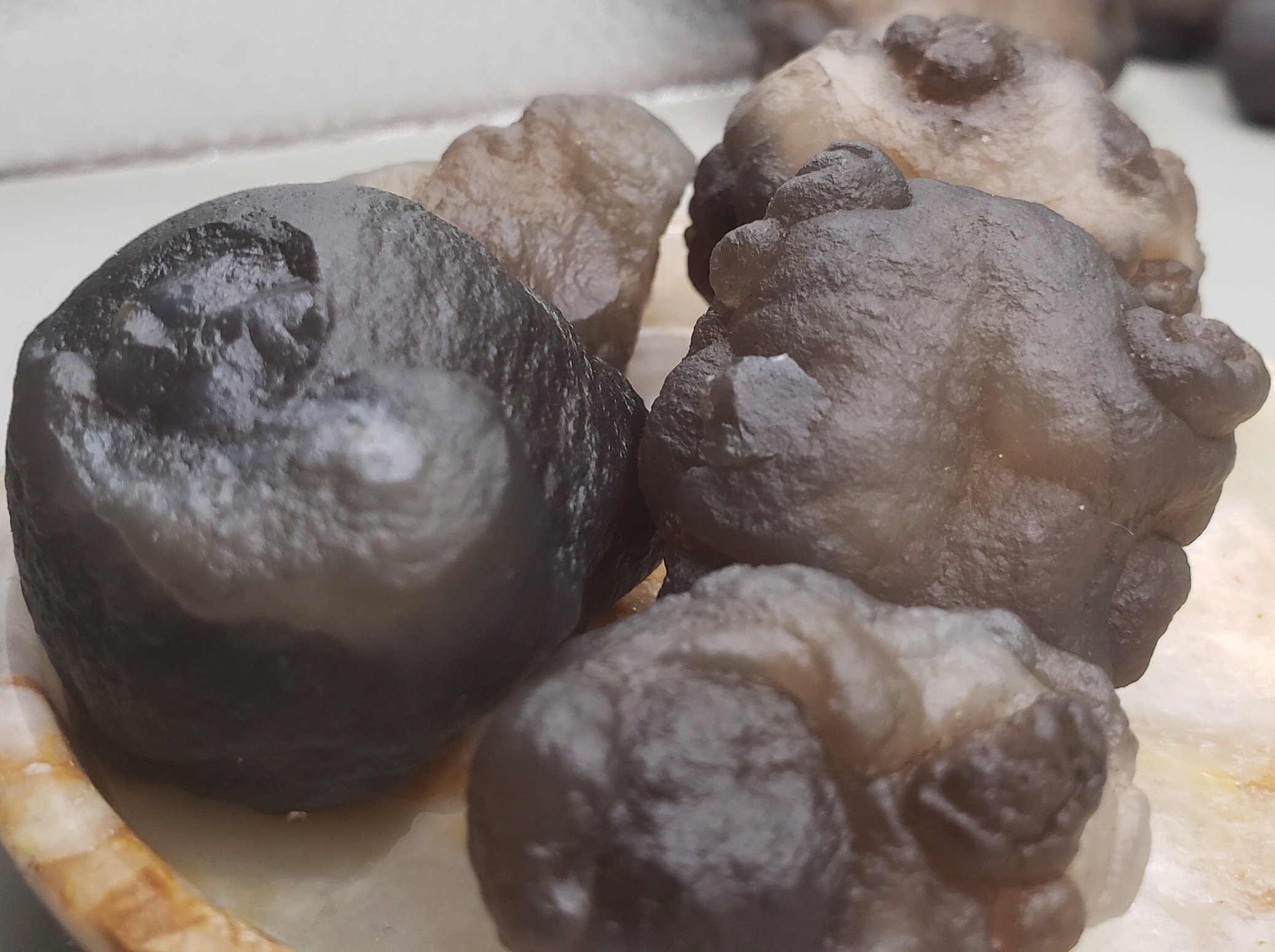 Rare Panda Agate Specimen From Morocco, Truffle Chalcedony - Etsy