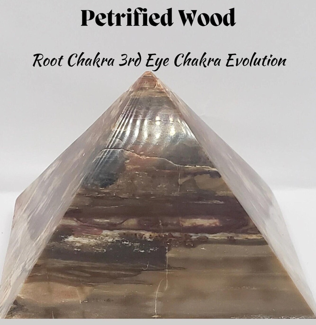 Gorgeous 3.5 Petrified Wood Pyramid Egyptian Décor Interior Design ...