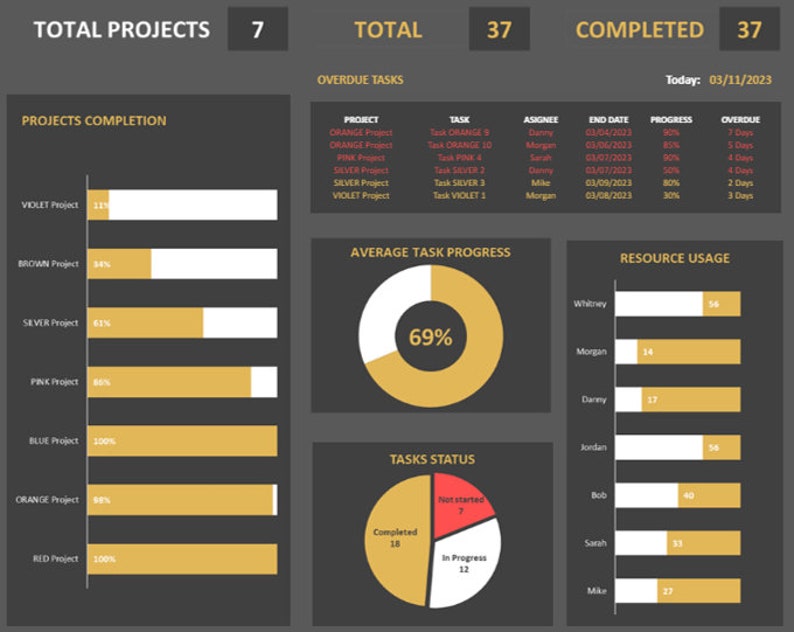 Project Management Dashboards -customizable-re-usable Templates for ...