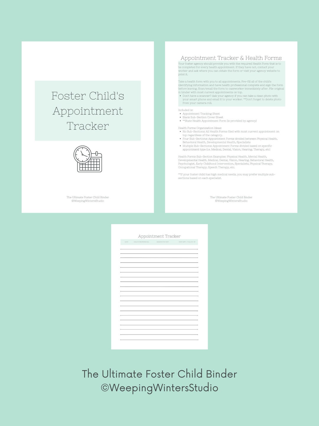 Foster Child Appointment Tracker / Binder Organization - Etsy