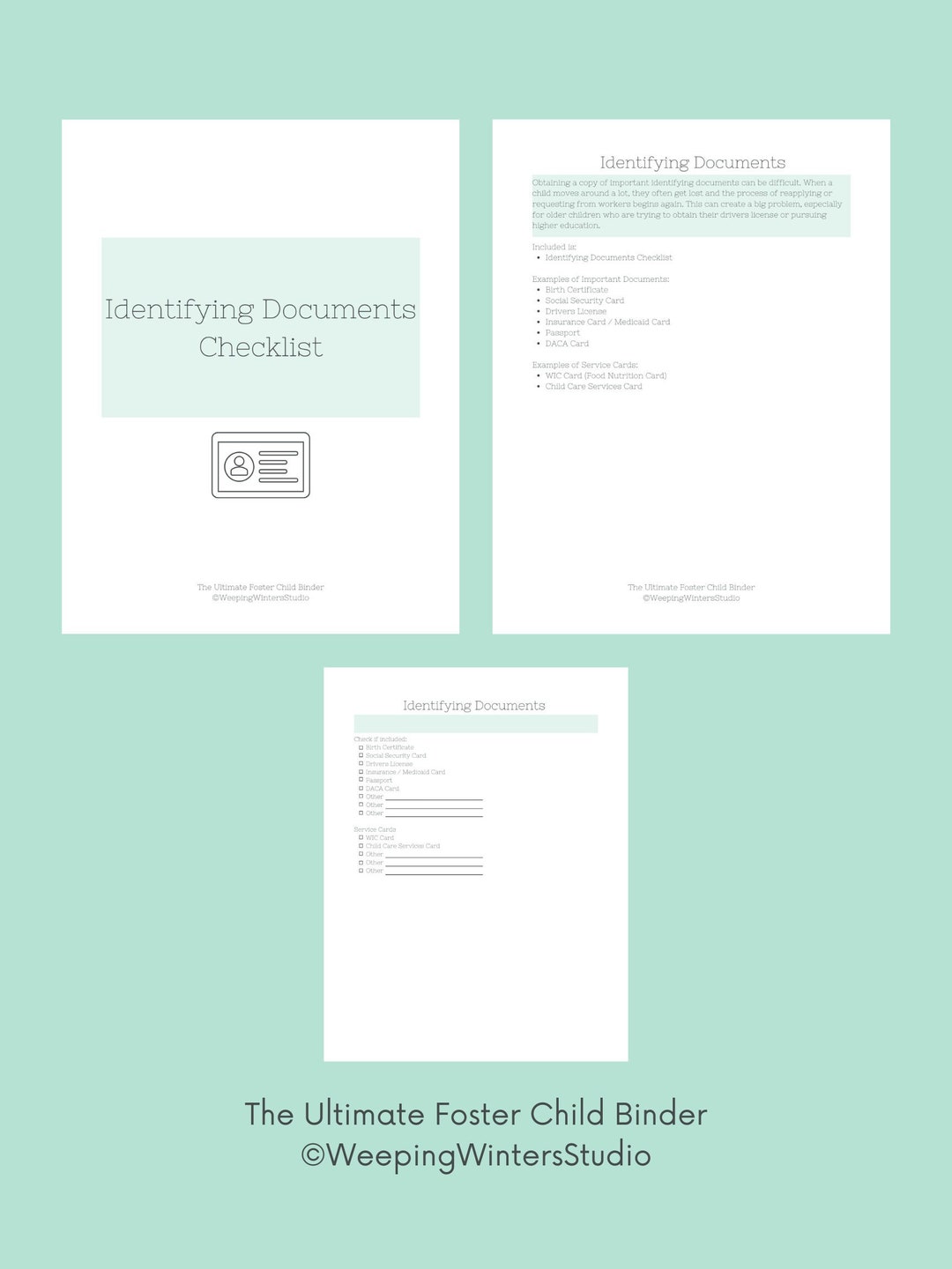 Foster Child Identifying Documents Checklist - Etsy