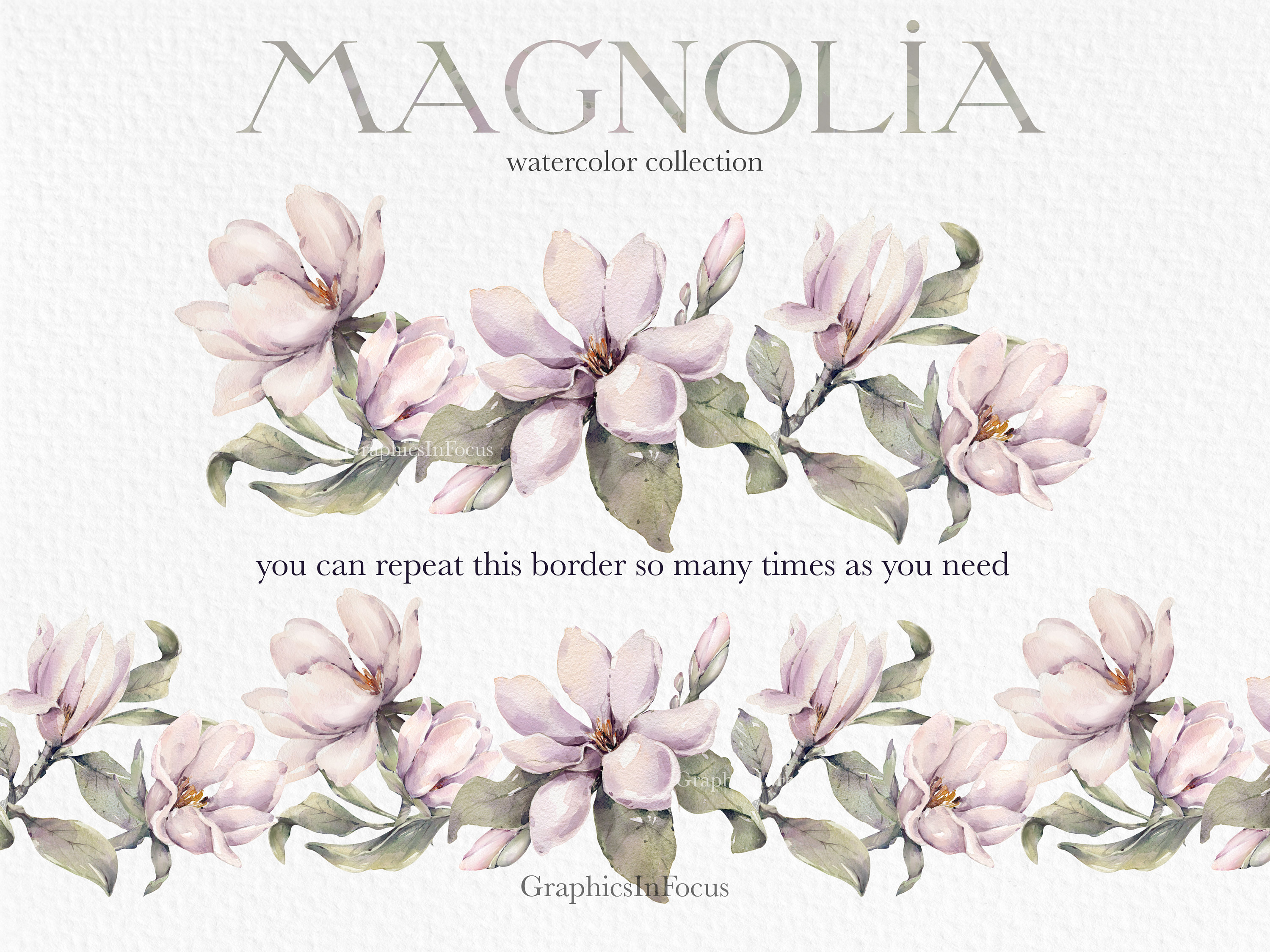 Magnolia Seamless Border Flowers Clipart Hand Drawn - Etsy UK