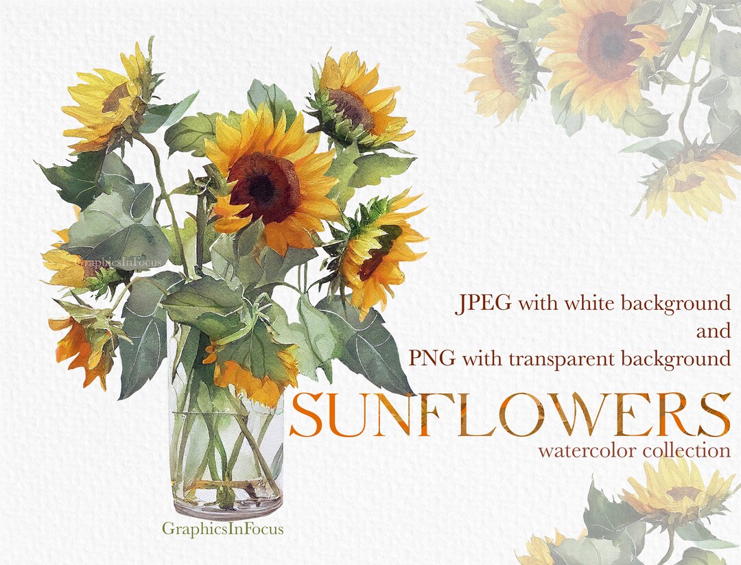 Sunflowers Clipart , Watercolor Drawings , Sunflowers Bouquet Clipart ...