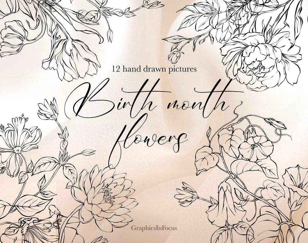 Birth Month Flowers Clipart , Hand Drawn Line Art , Roses , Peonies ...