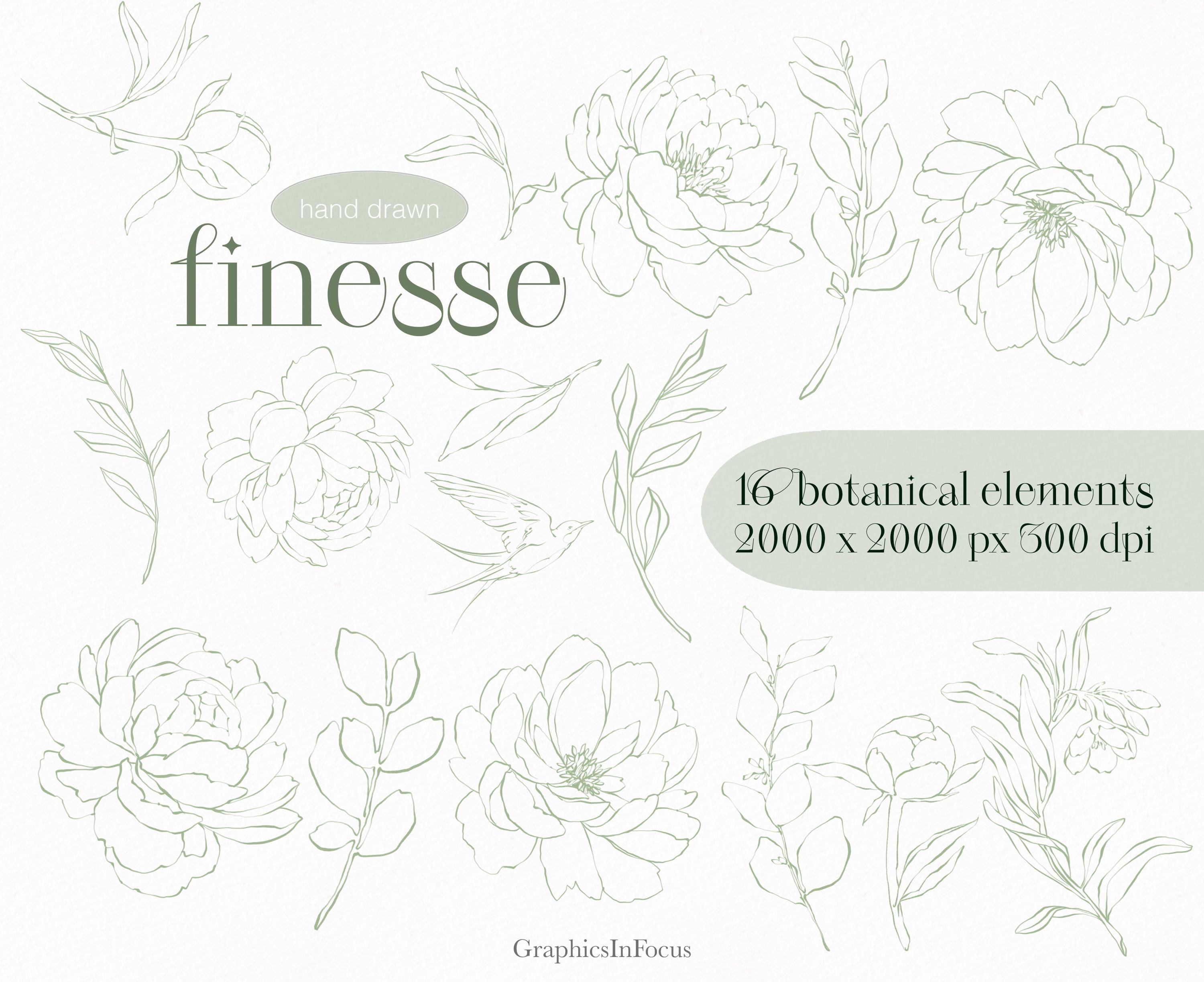 Hand Drawn Flower Clipart: Peonies, Roses, Matcha Green (PNG Digital ...