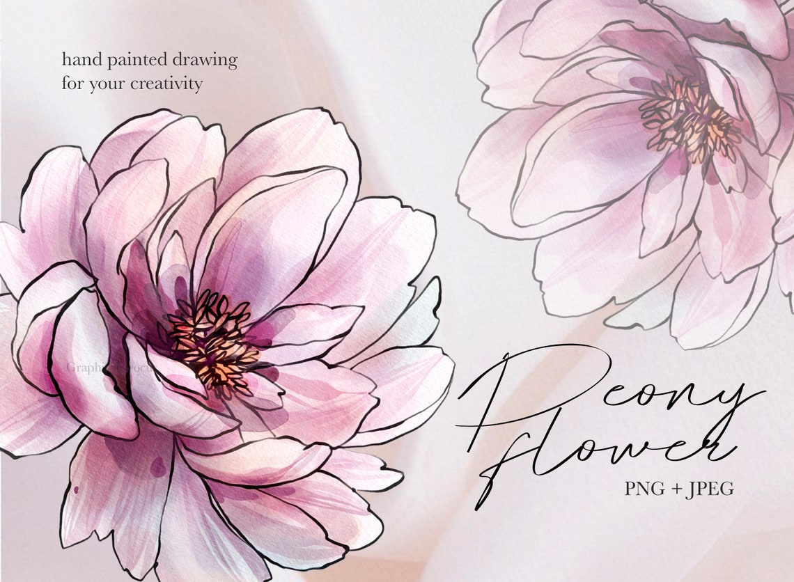Peony Flower Watercolor Clipart Peonies Element Floral - Etsy