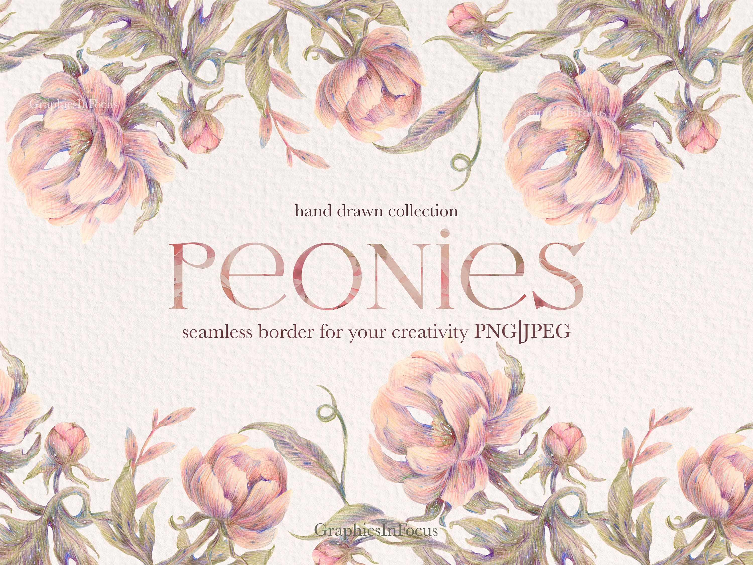 Peonies Seamless Border , Flowers Clipart , Hand Drawn Collection ...