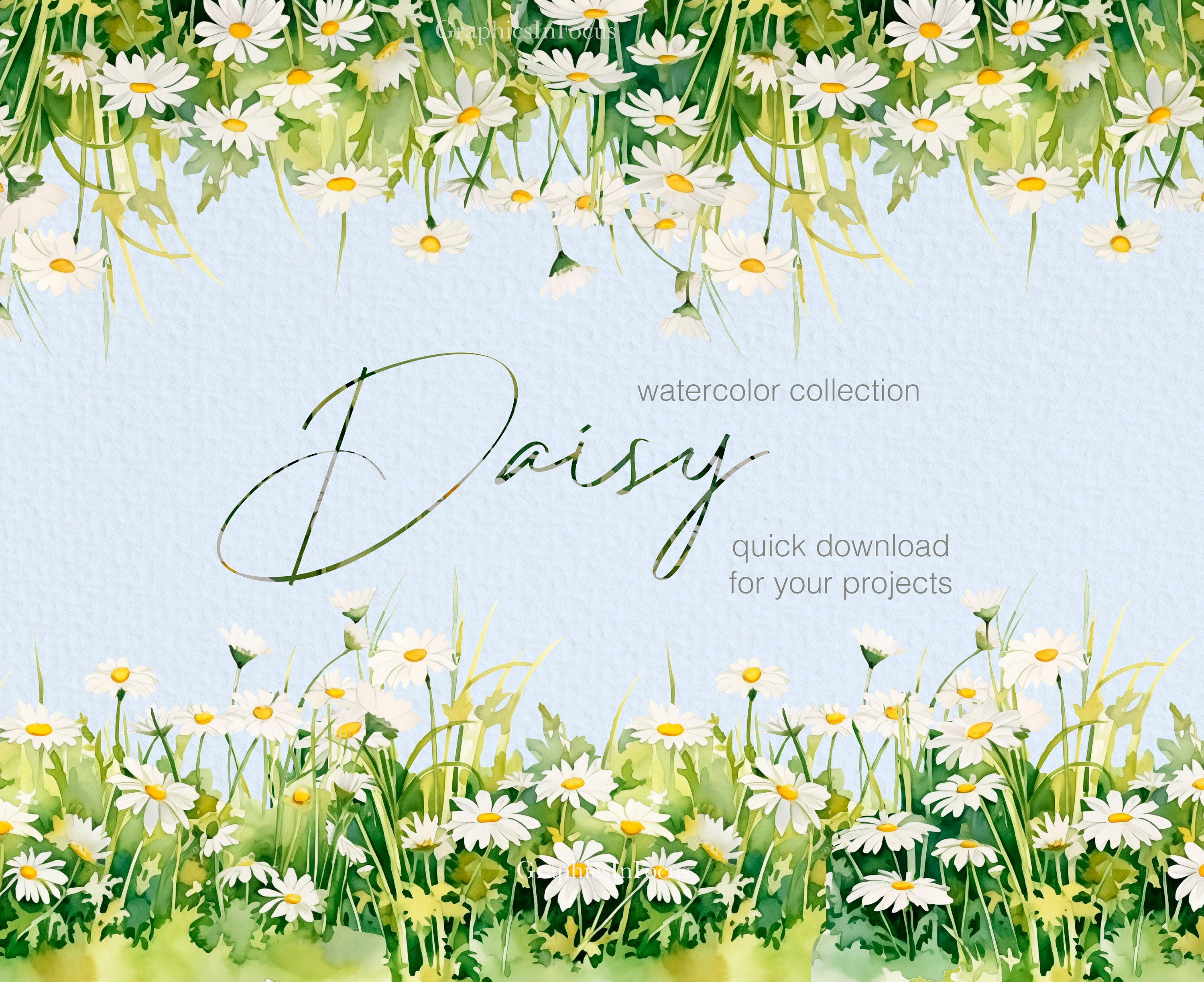 Daisy Flowers Seamless Border , Watercolor Collection , Easy Download ...