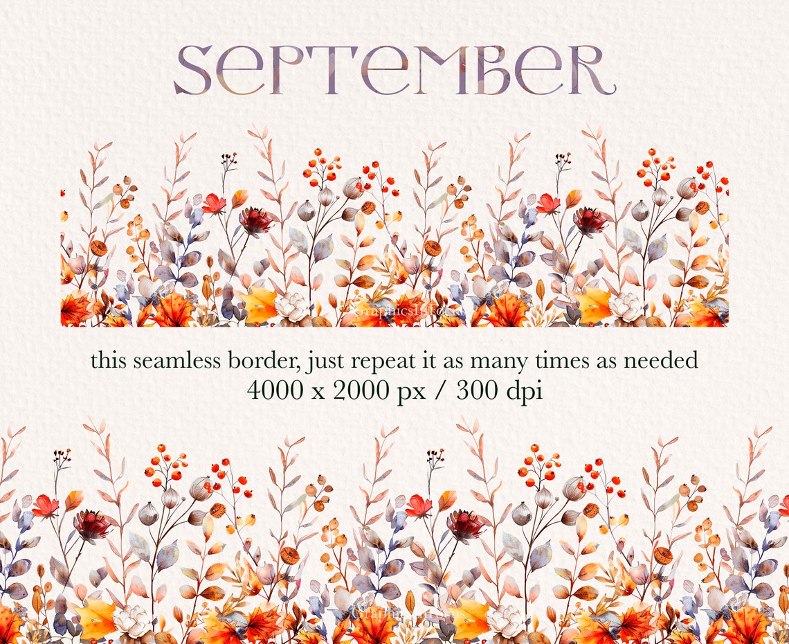 Fall Wildflower Watercolor Border Clipart (digital Download) - Etsy