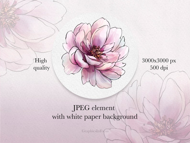 Peony Flower Watercolor Clipart Peonies Element Floral - Etsy