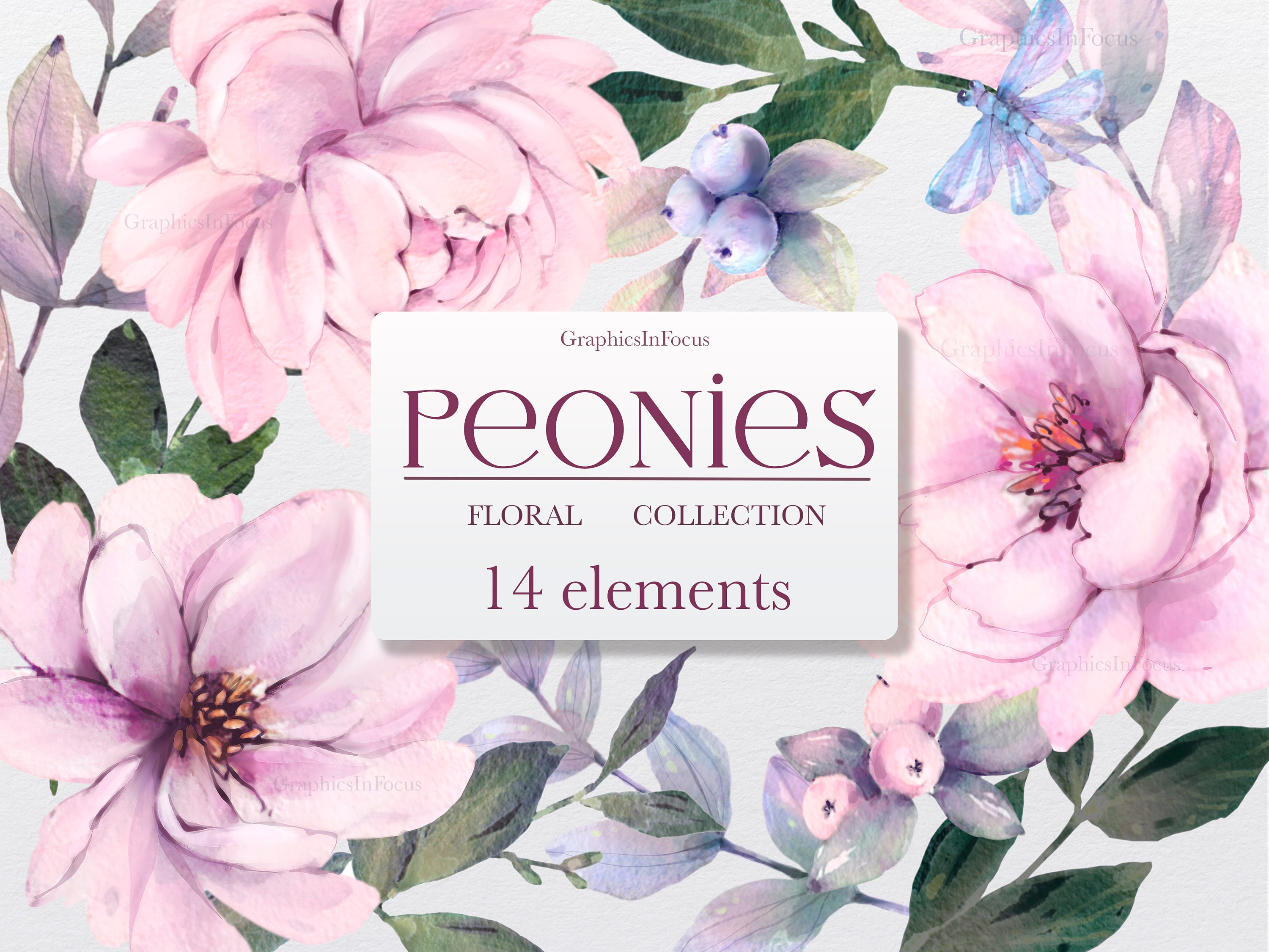 Peonies Clipart , Watercolor Clipart , Hand Drawn Clipart , Flowers ... Peonies Clipart , Watercolor Clipart , Hand Drawn Clipart , Flowers ...