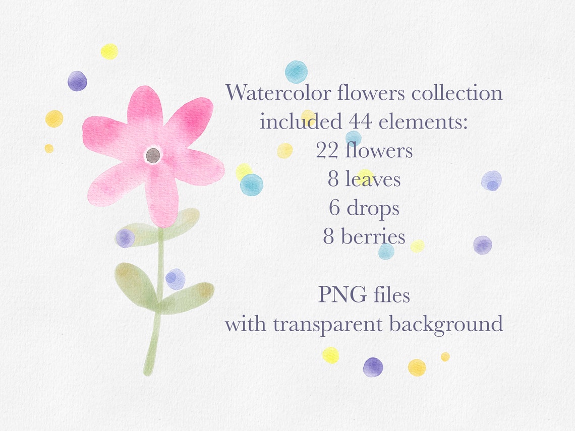 Watercolor Flowers Clipart Hand Painted Floral Collection - Etsy