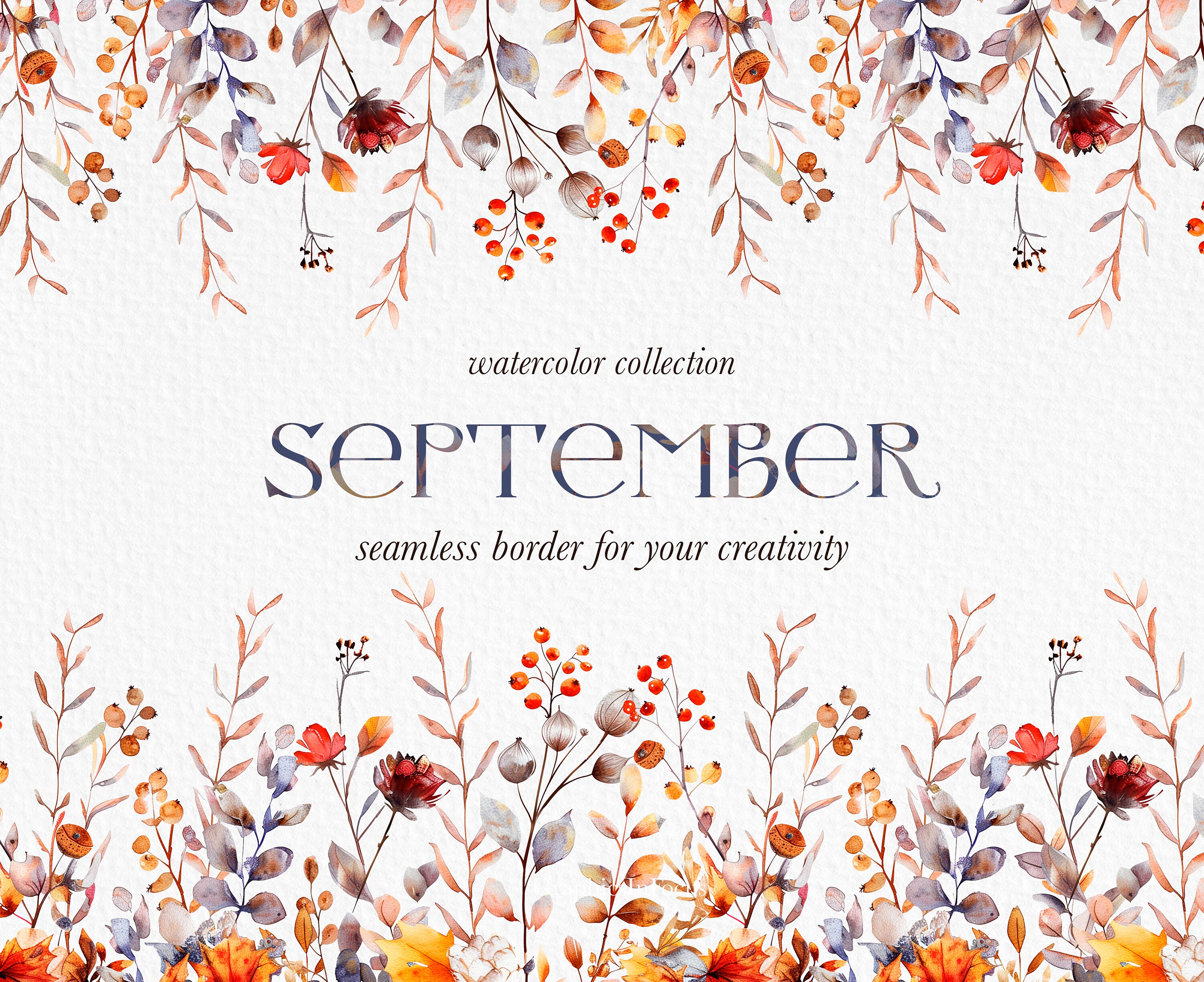 Fall Wildflower Watercolor Border Clipart (digital Download) - Etsy