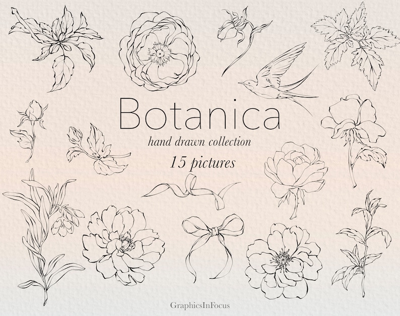 Flowers Hand Drawn Clipart , Black Line Art , Peonies , Roses , Bird ...