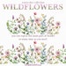 Wildflowers Clipart , Watercolor Wildflowers Border , Seamless Border ...