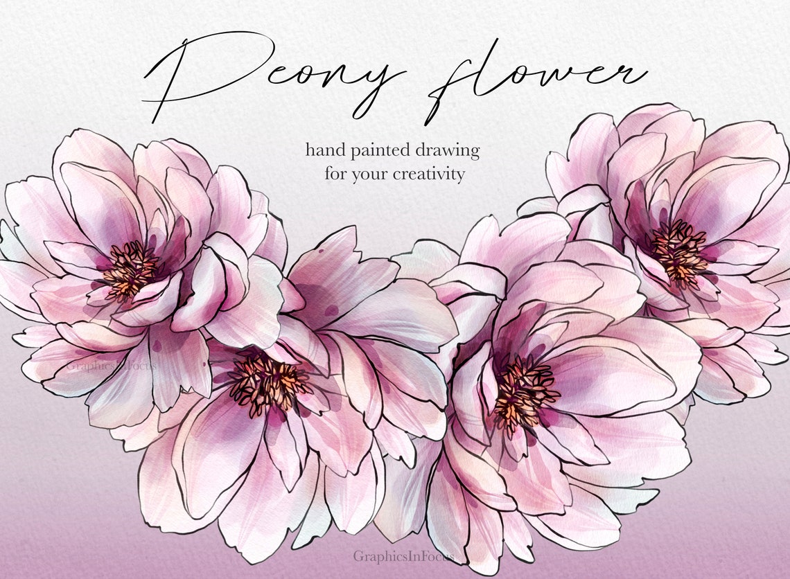 Peony Flower Watercolor Clipart Peonies Element Floral - Etsy