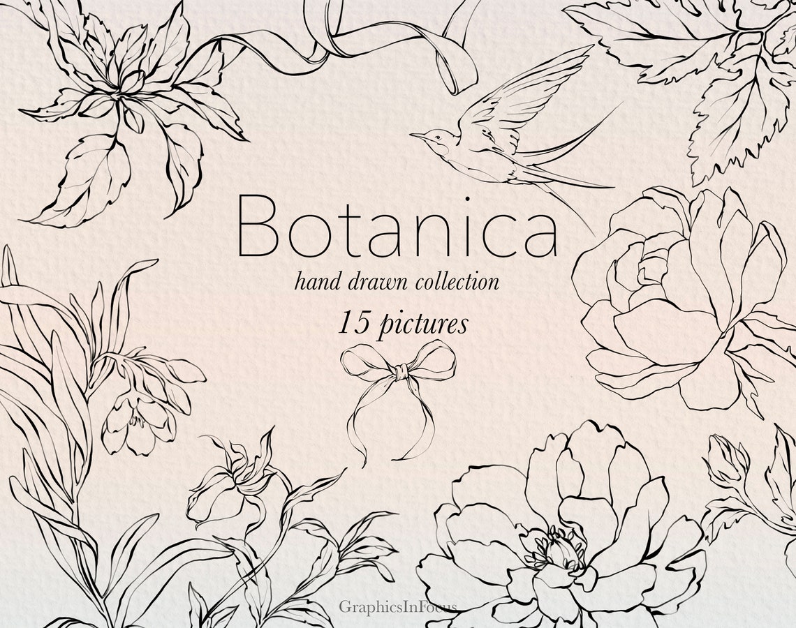 Flowers Hand Drawn Clipart , Black Line Art , Peonies , Roses , Bird ...