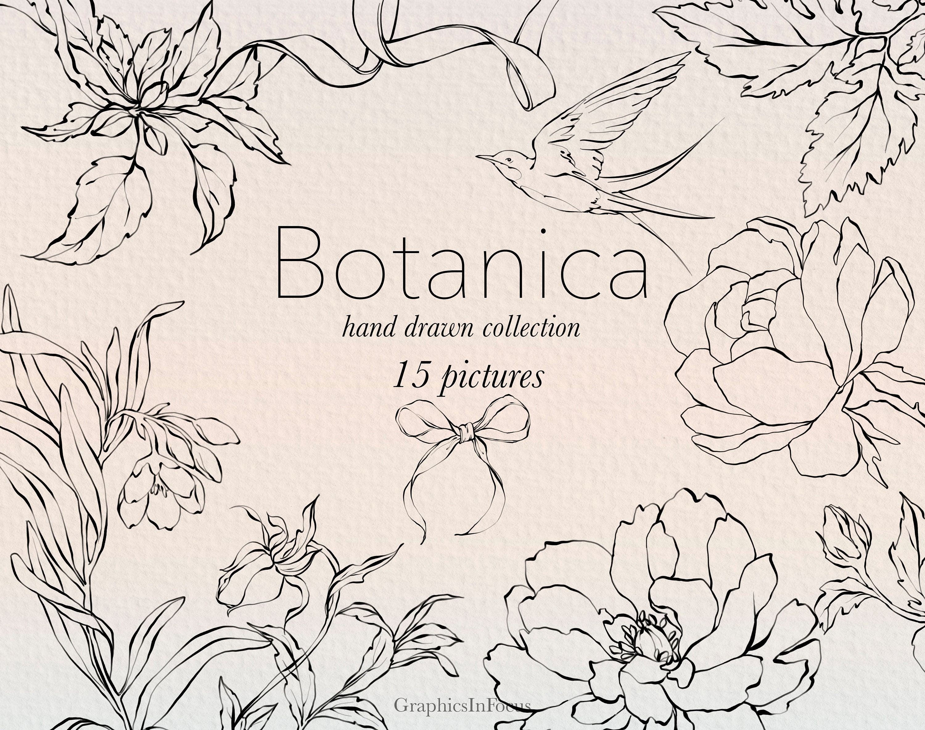 Flowers Hand Drawn Clipart , Black Line Art , Peonies , Roses , Bird ...