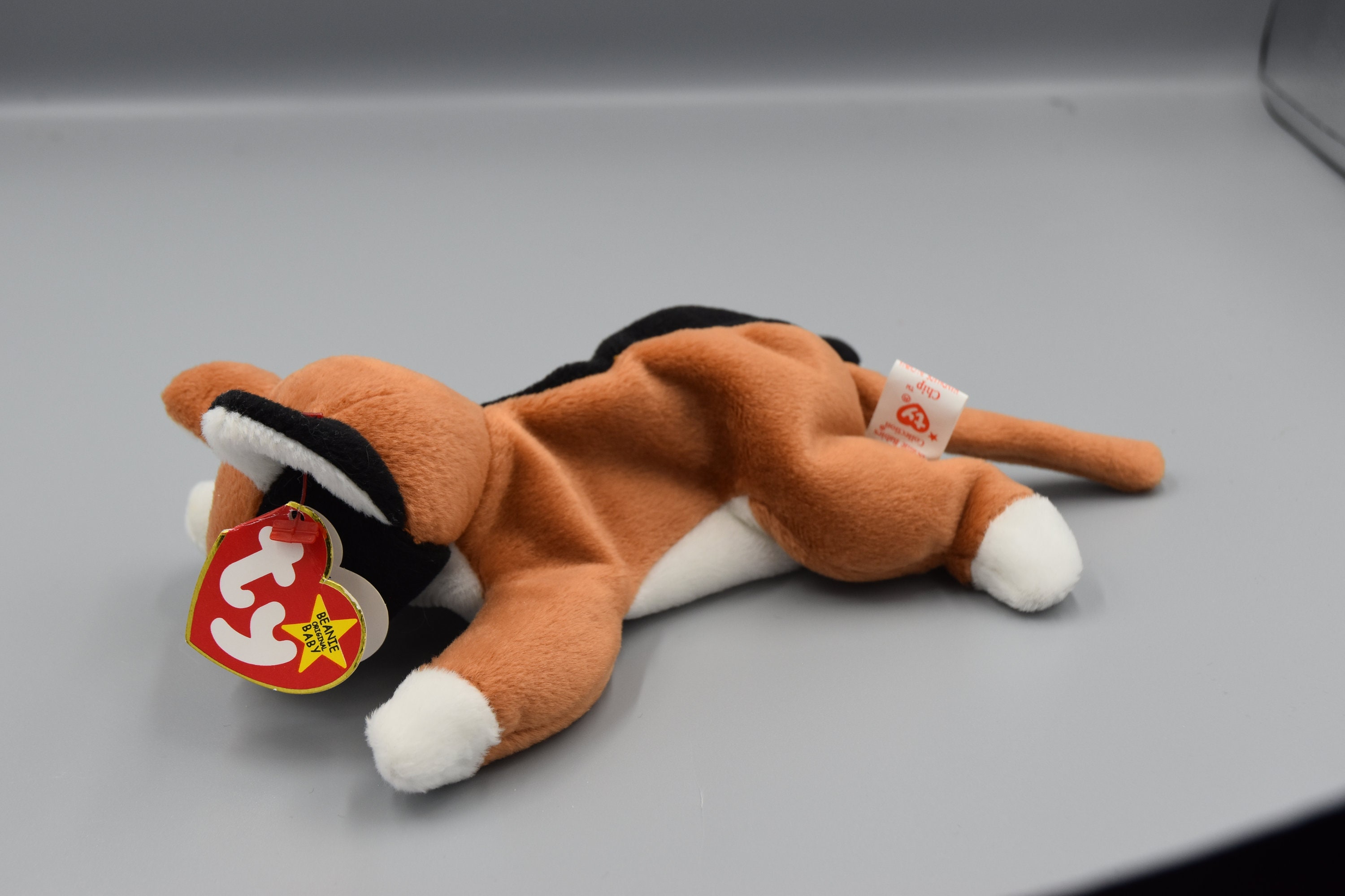 Chip the Cat, Beanie Baby, Authenticated and Museum Quality, MWMT - Etsy