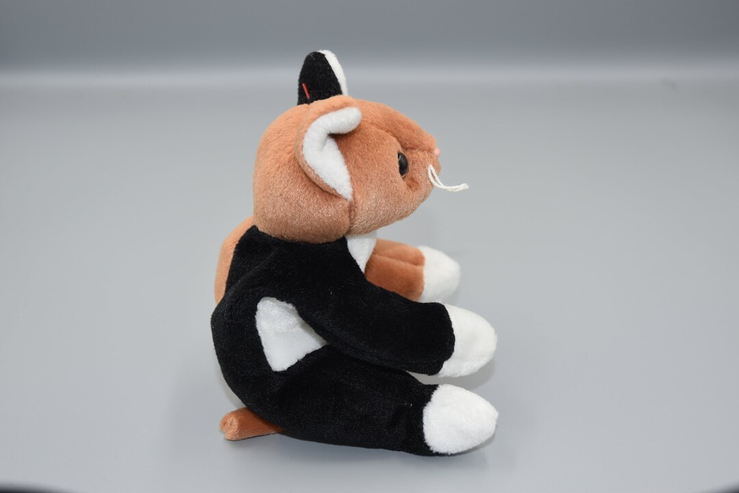 Chip the Cat, Beanie Baby, Authenticated and Museum Quality, MWMT - Etsy