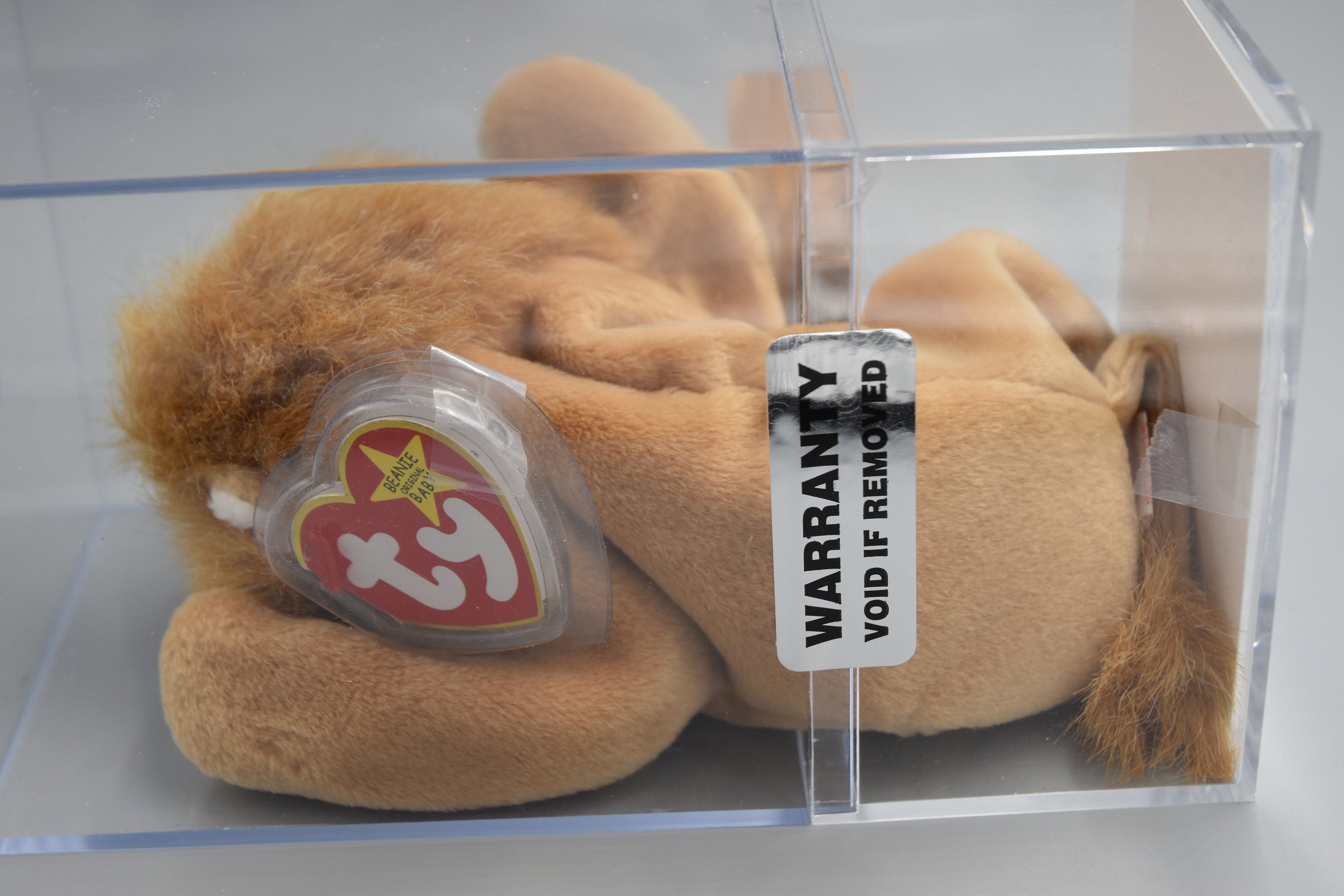 Ty Beanie Baby Roary the Lion, Authenticated and Museum Quality - Etsy