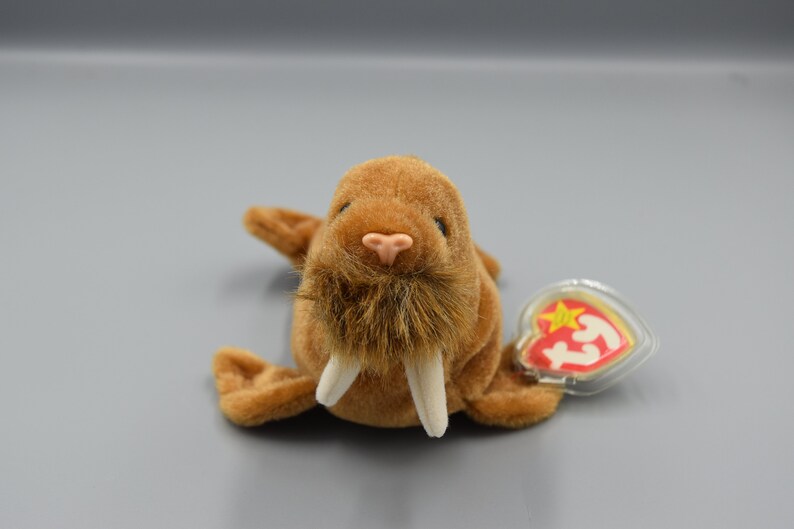 Ty Beanie Baby 4248, Paul the Walrus - Etsy