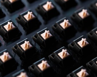 Alpaca V2 Switches - Etsy