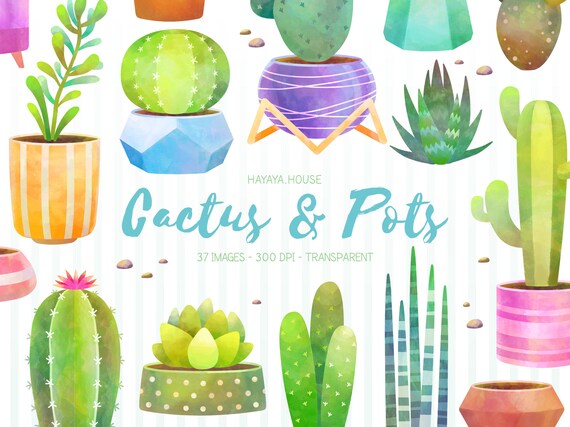 Watercolor Cactus Succulent Pot Clipart Creation Kit Build | Etsy