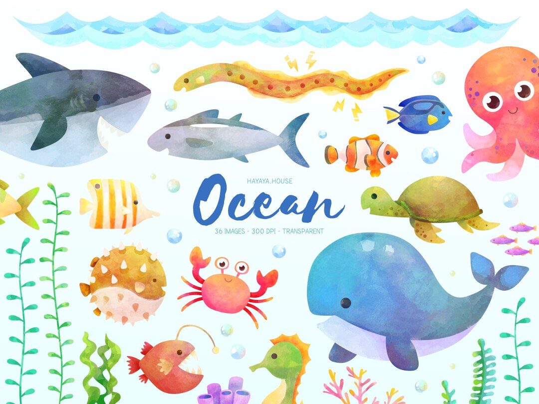 Watercolor Ocean, Marine, Sea Life Clipart - 300 Dpi Transparent ...