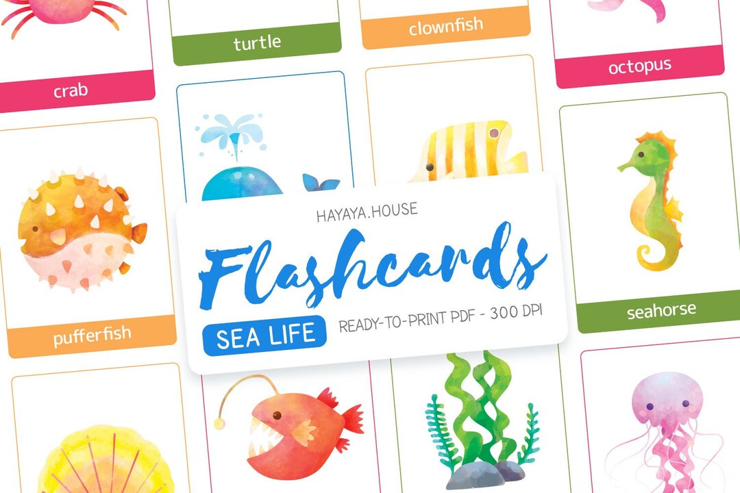 Ocean Animals and Sea Life Flash Cards. Watercolor - Montessori Cards ...