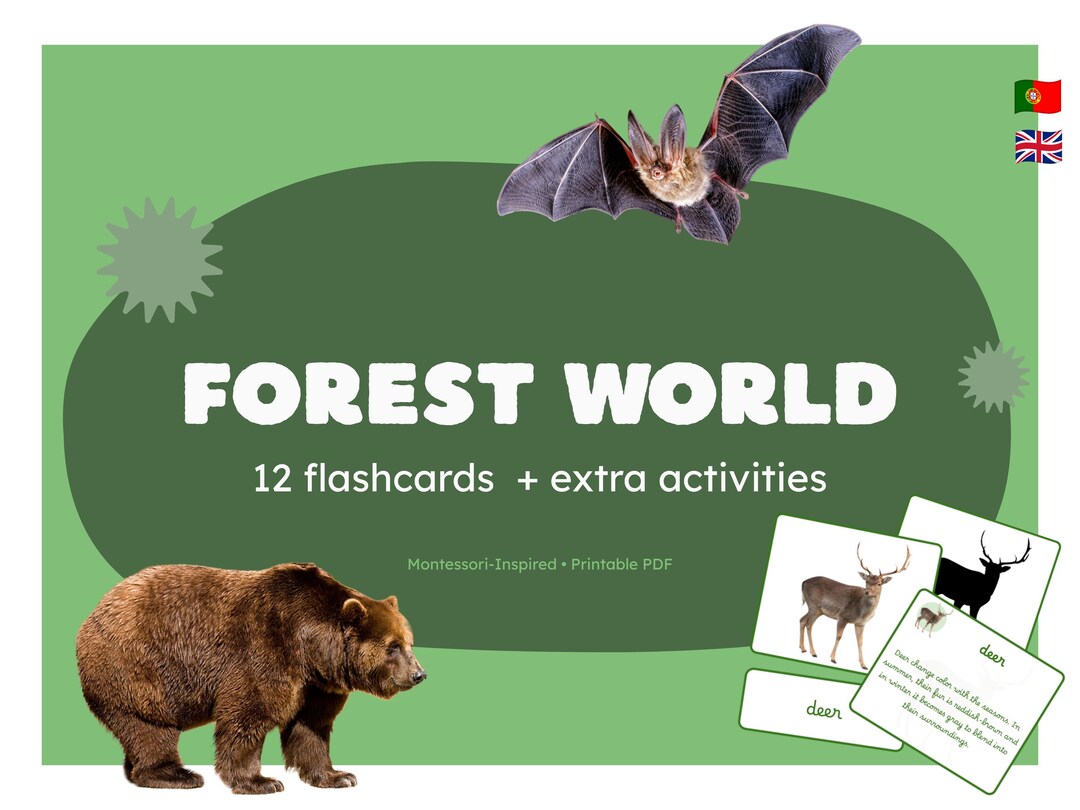 12 Forest Animals Flashcards, Montessori-inspired Learning, Real-life ...