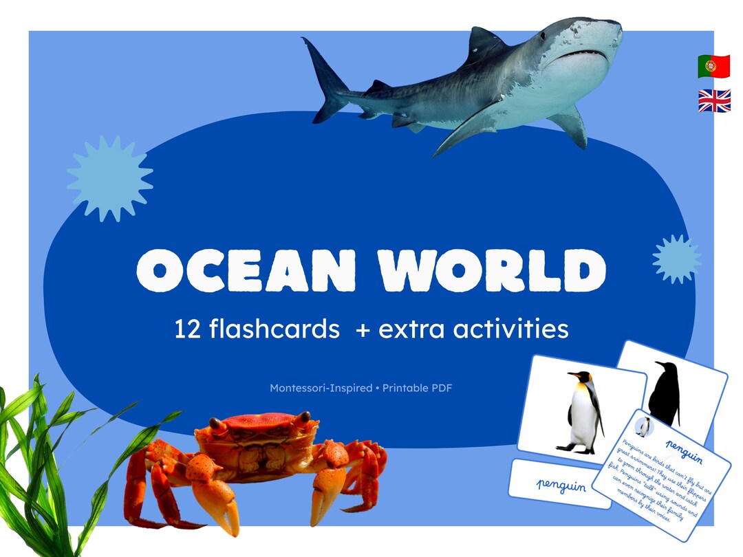 12 Sea Creatures Flashcards, Montessori Learning, Real Images ...