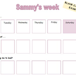 Co-parenting, Child-friendly Weekly Routine Calendar - Etsy