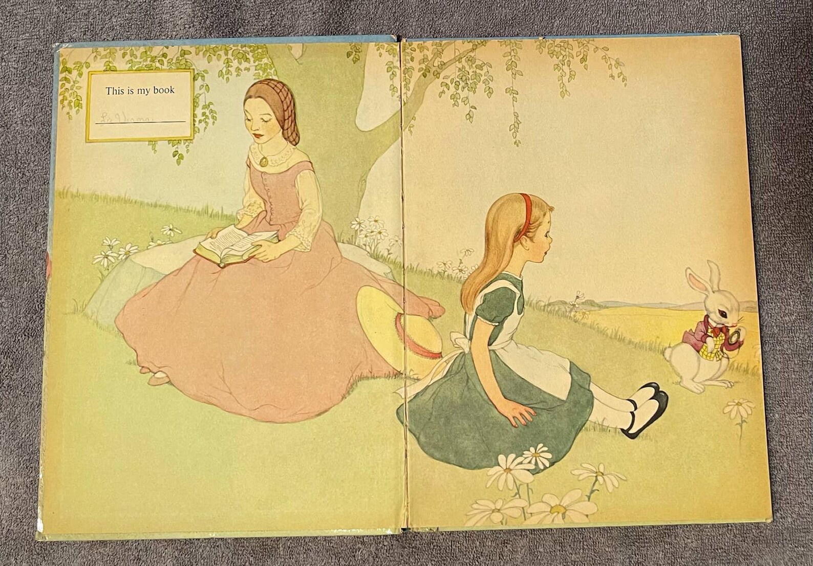 Dandelion Library Alice in Wonderland Book 1955 - Etsy