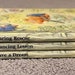 The Teddy Bears Have a Dream Dancing Lesson Daring Rescue Tormont Board ...