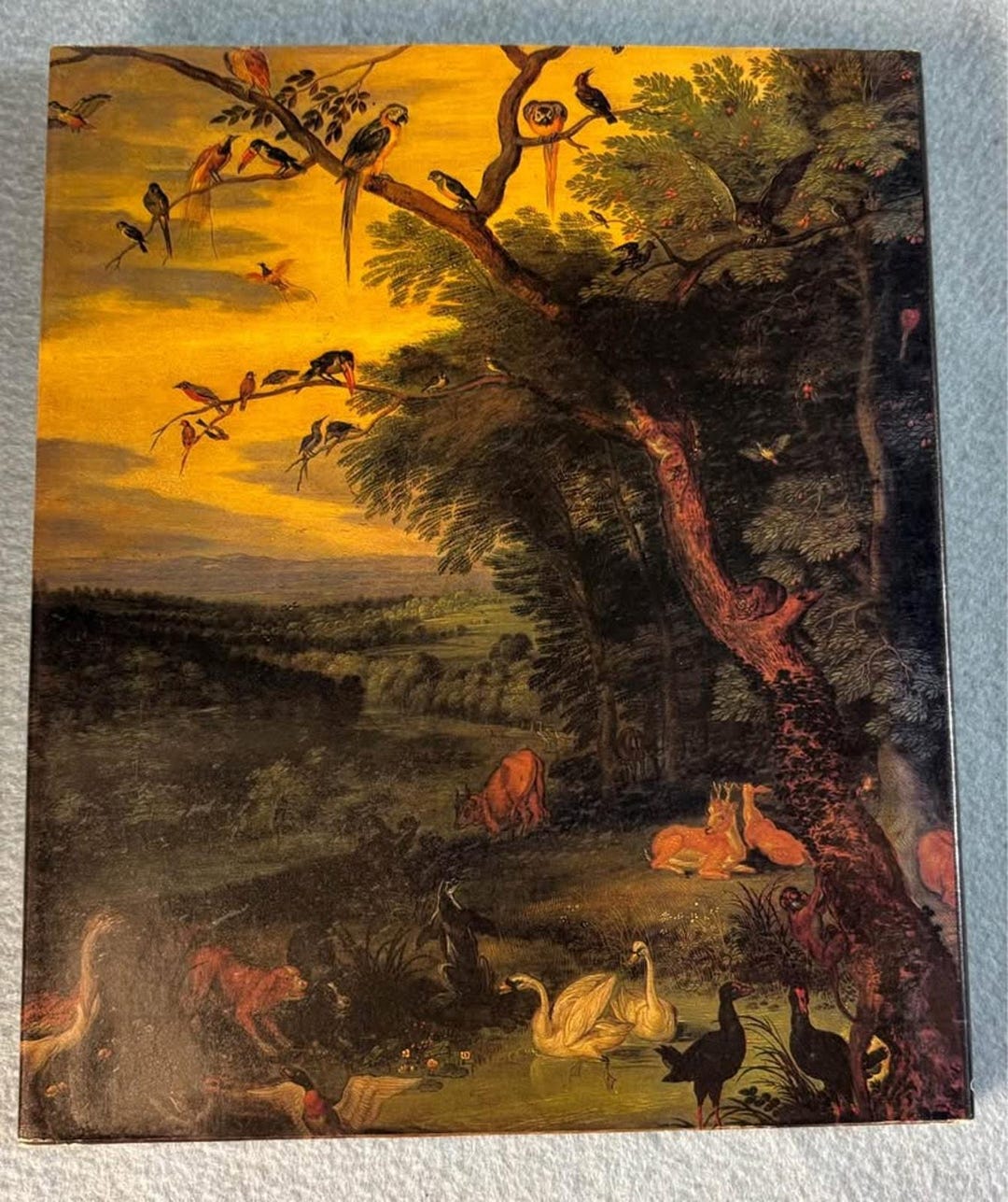 Creatures of Paradise Pictures to Grow up With Hardcover Bryan - Etsy