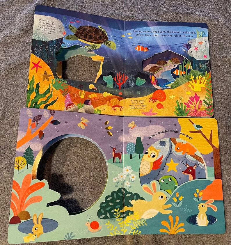 Becky Davies Goodnight Ocean (little Explorers) Peel Through Twinkle 2 ...