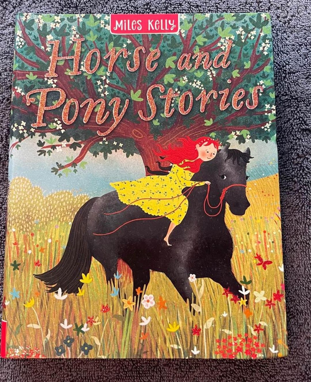 Miles Kelly HORSE & PONY STORIES Usborne Free Shipping - Etsy