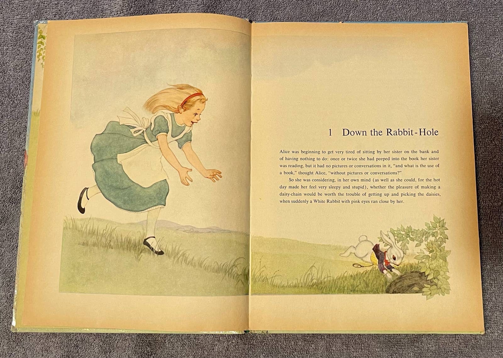 Dandelion Library Alice in Wonderland Book 1955 - Etsy