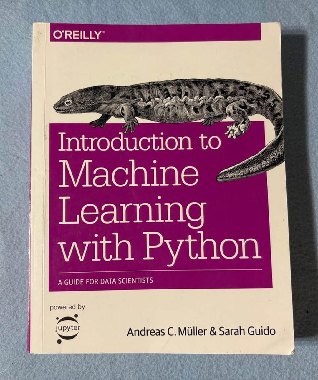Introduction to Machine Learning With Python: A Guide for Data Scientists Muller - Etsy