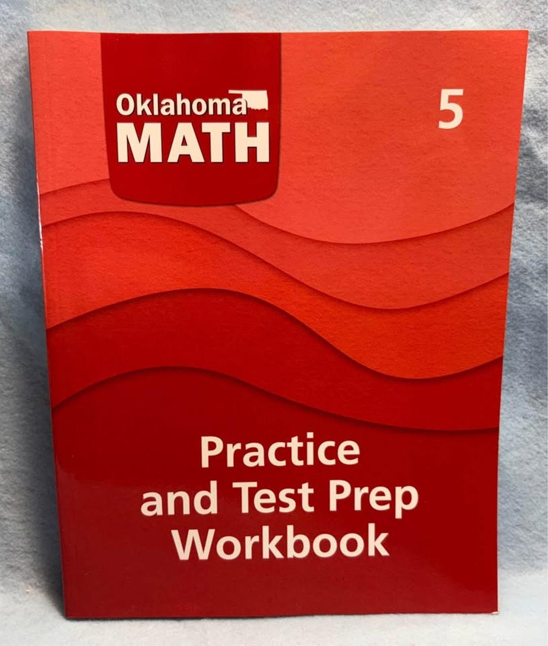 Big Ideas Learning MATH 5 Test Prep and Practice Workbook - Etsy