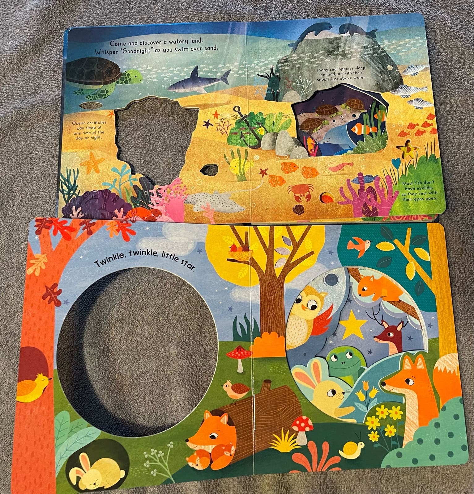 Becky Davies Goodnight Ocean (little Explorers) Peel Through Twinkle 2 ...