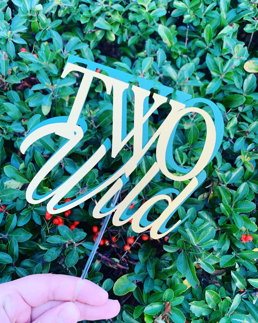 Two Wild Cake Topper, 2nd Birthday Cake Toppers Boys - Girls, Name ...