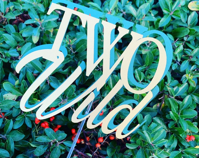 Two Wild Cake Topper, 2nd Birthday Cake Toppers Boys - Girls, Name ...