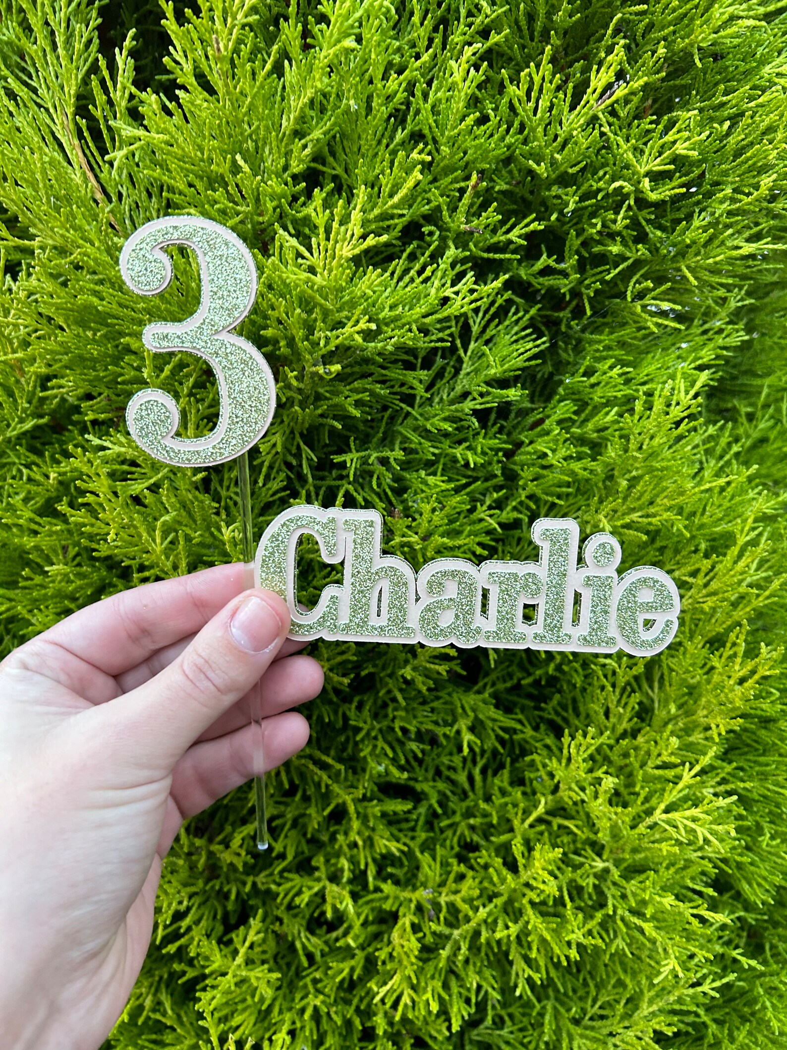 Personalised Jungle Theme Cake Topper, Wild Cake Decorations, Dinosaur ...