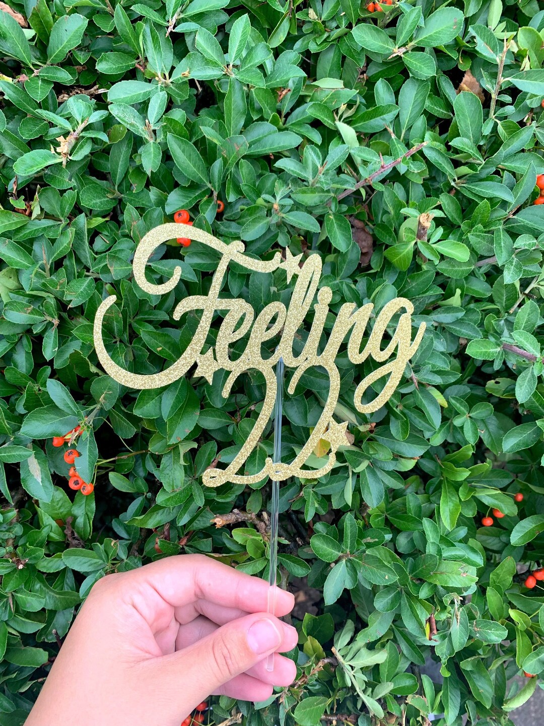 Feeling 22 Cake Toppers, Twenty Two Cake Toppers, Twenty Two Party Decorations 22nd Birthday ...