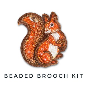 Squirrel Bead Embroidery Kit. Seed Bead Brooch Kit. DIY Craft Kit ...