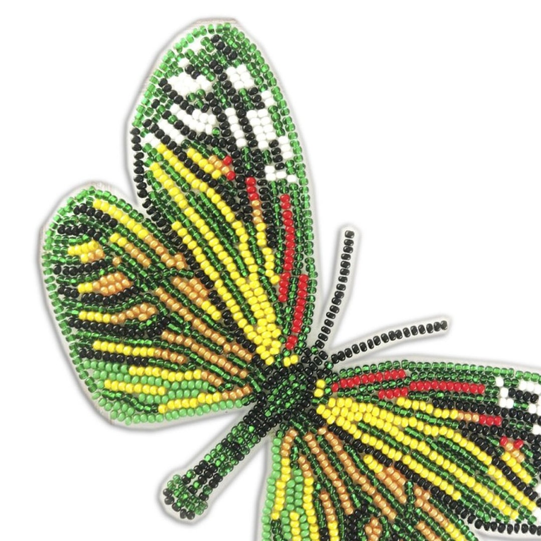 Day Flying Moth campylotes Histrionicus Butterfly Magnet Bead ...
