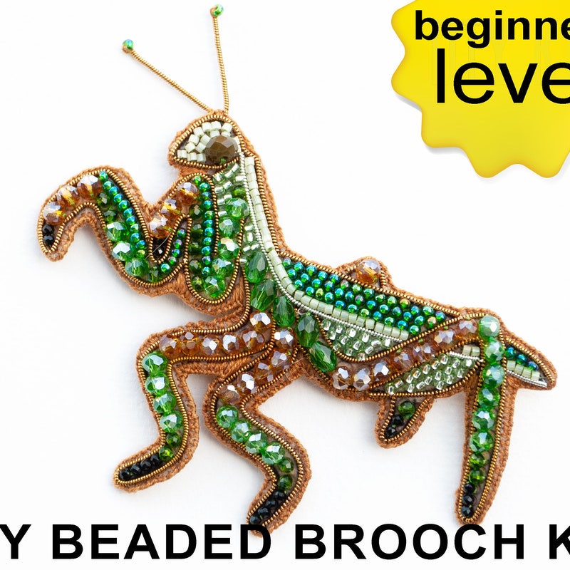 Praying Mantis Pin - Etsy