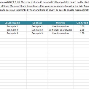 CPE Tracker - Digital Download - Etsy